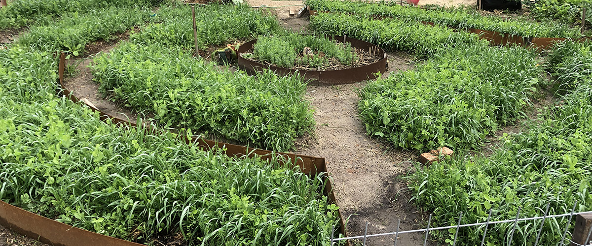 Witchcliffe Ecovillage • Vision Of Sustainability