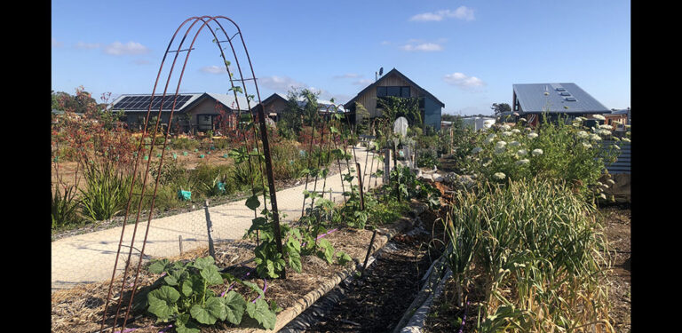 Witchcliffe Ecovillage – Vision of Sustainability